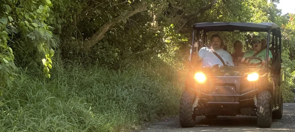 Gecko's Island Adventure