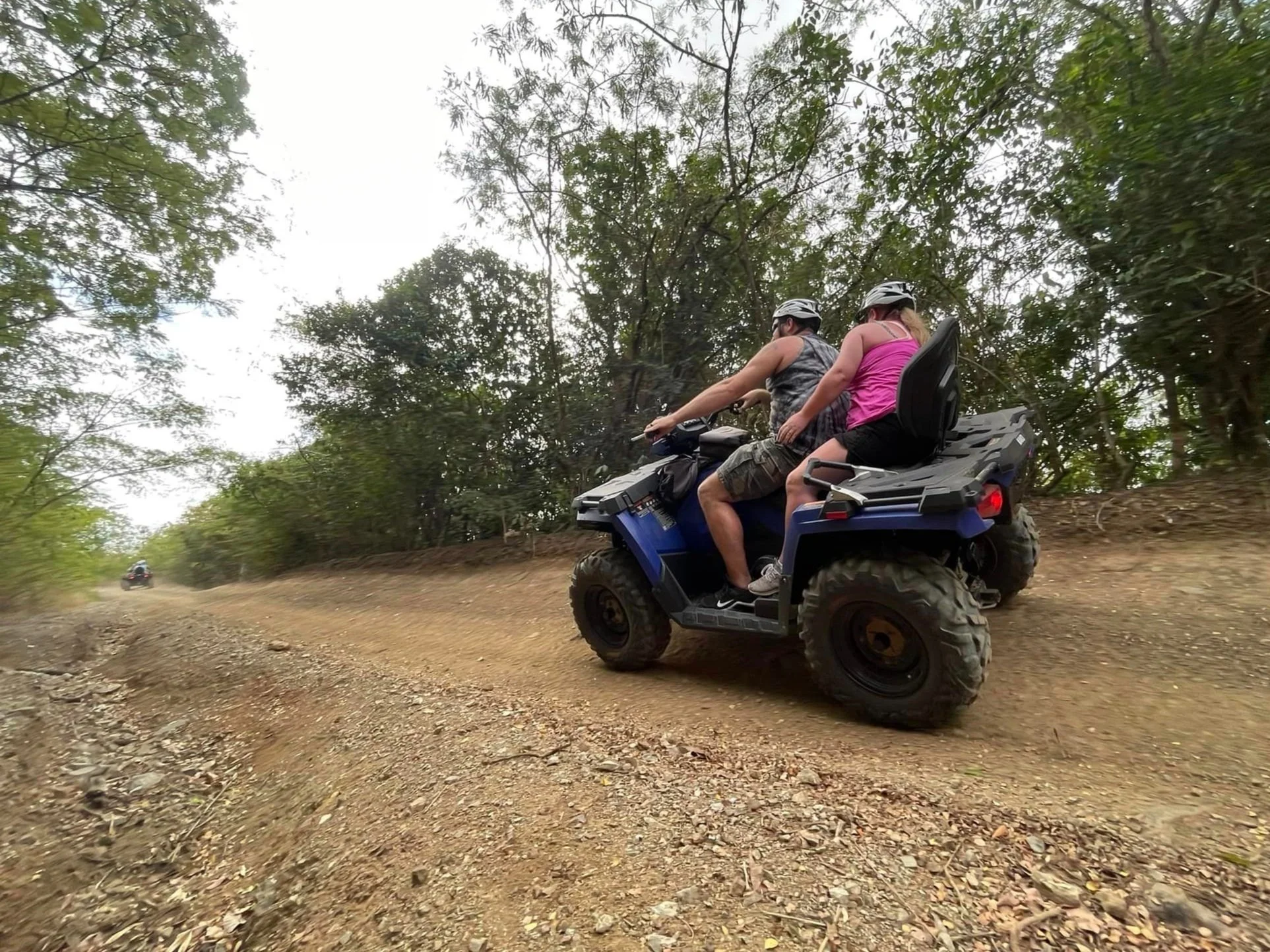 Gecko's Island Adventure