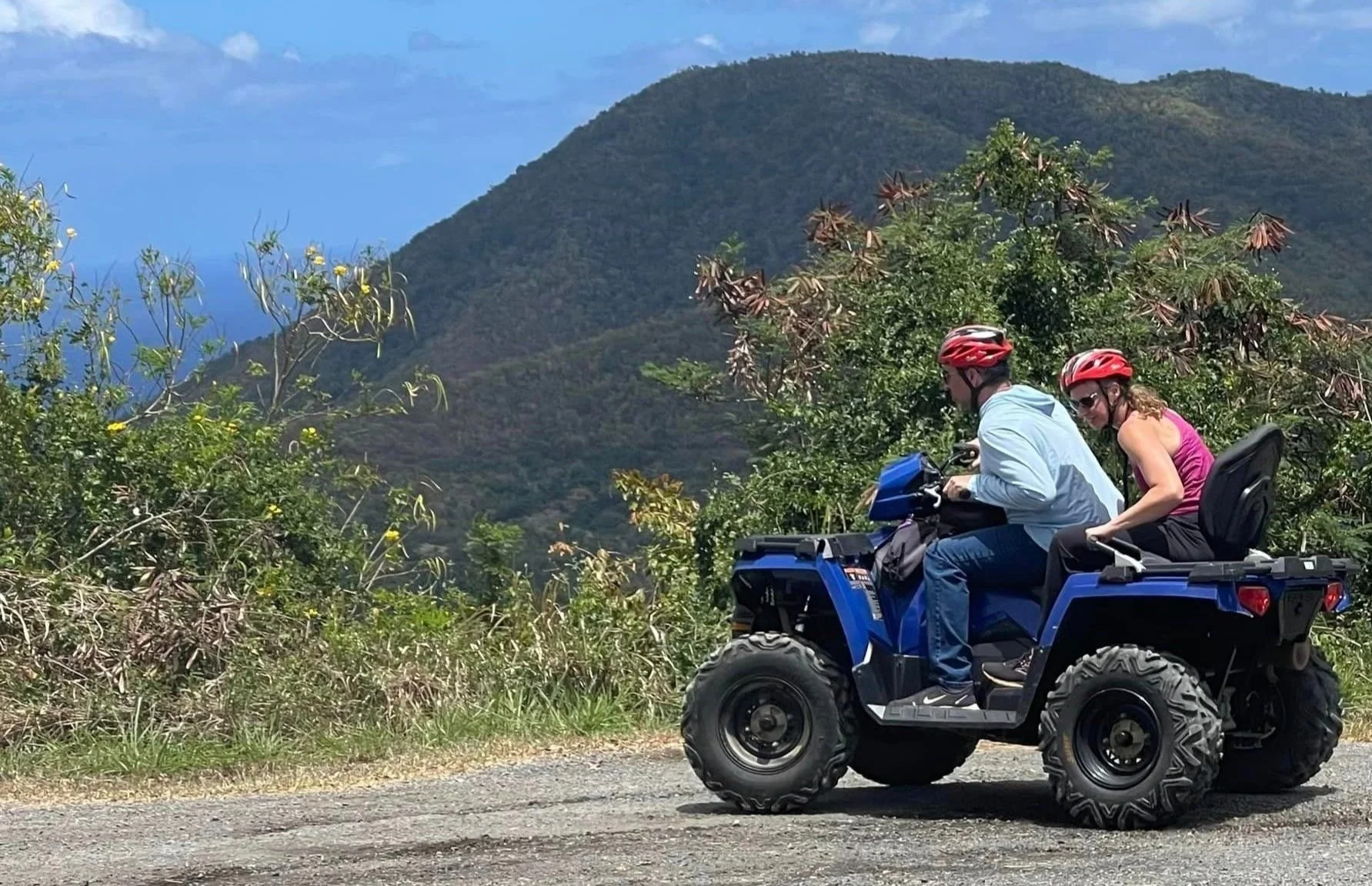 Gecko's Island Adventure