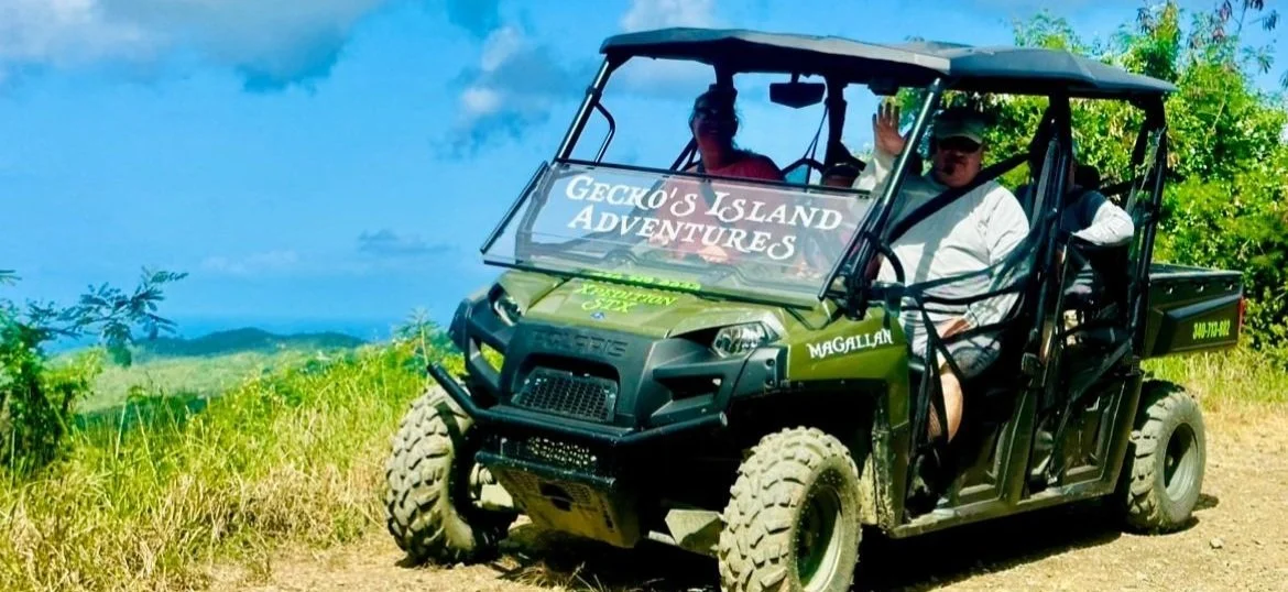 Gecko's Island Adventure
