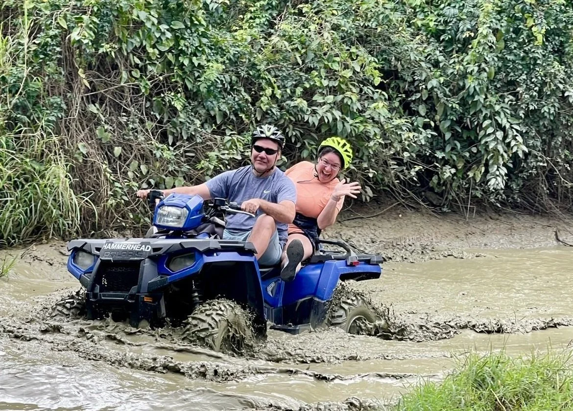 Gecko's Island Adventure