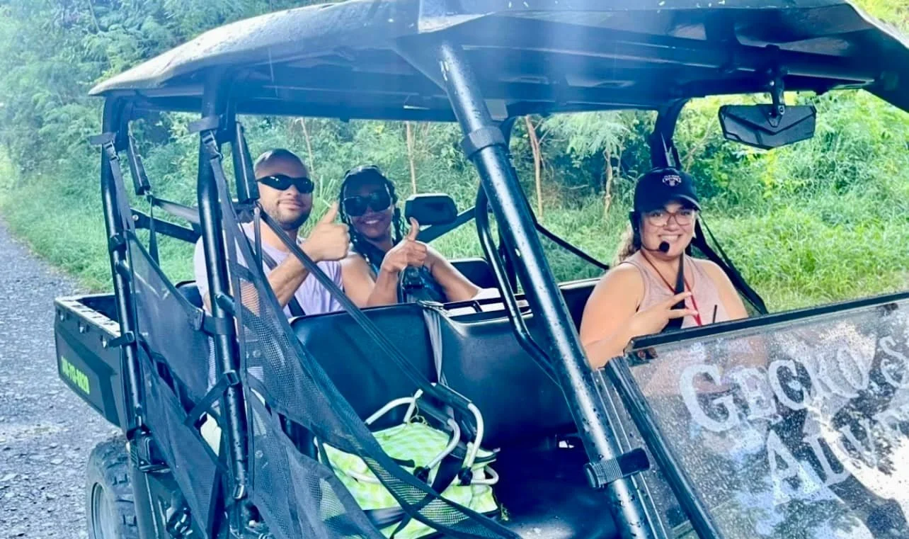 Tours — Gecko's Island Adventure