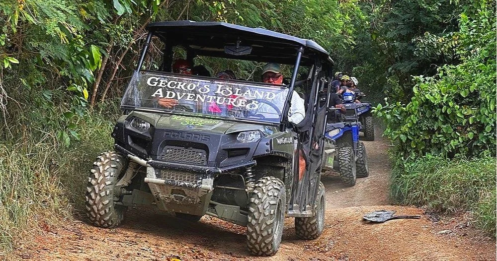 Tours — Gecko's Island Adventure