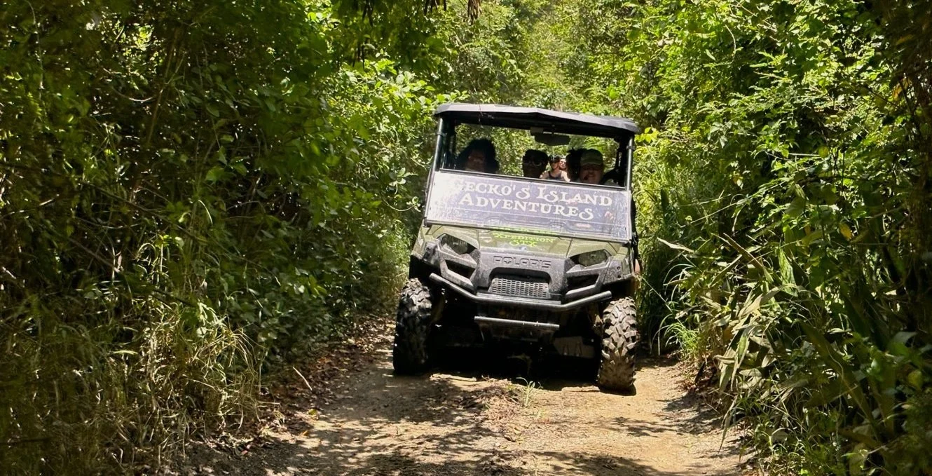 Gecko's Island Adventure