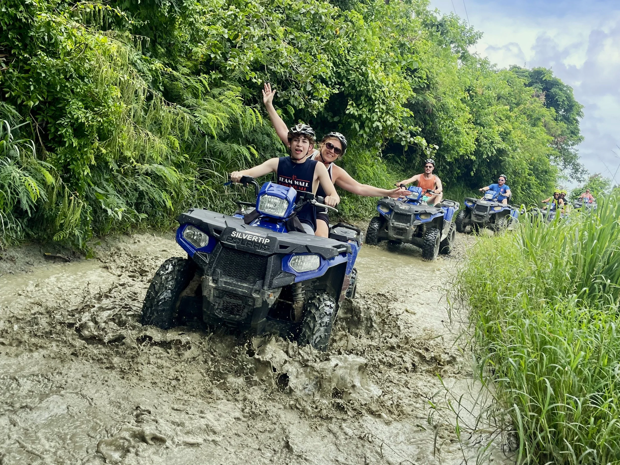 Gecko's Island Adventure