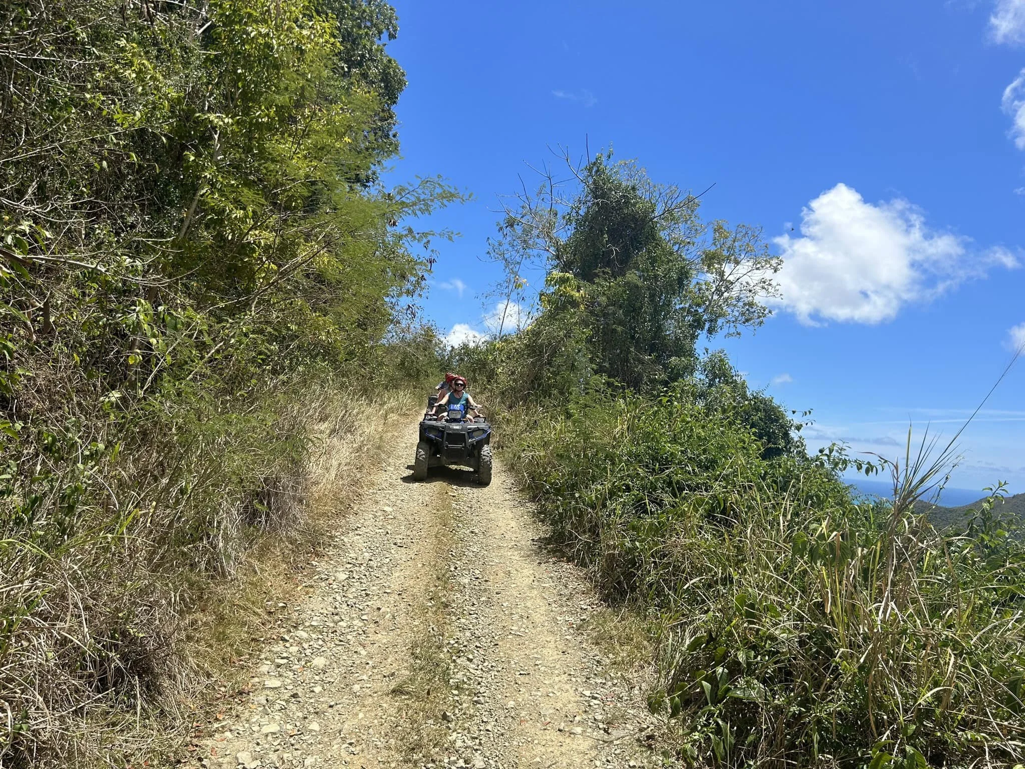 Gecko's Island Adventure