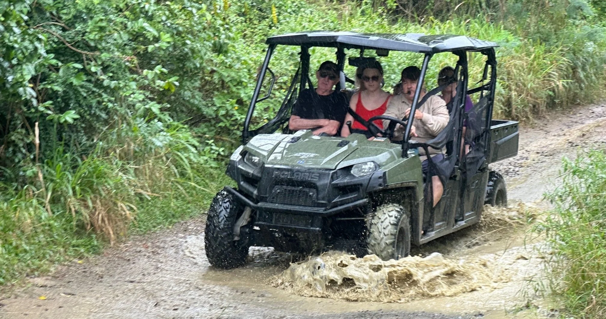 Gecko's Island Adventure