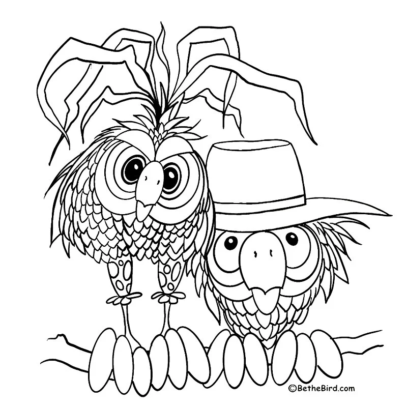 Hoot Coloring Pages