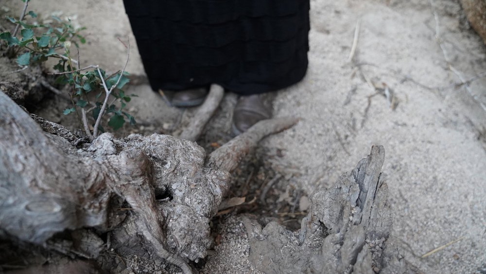 Ancestral Lineage Healing — Sacred Thresholds