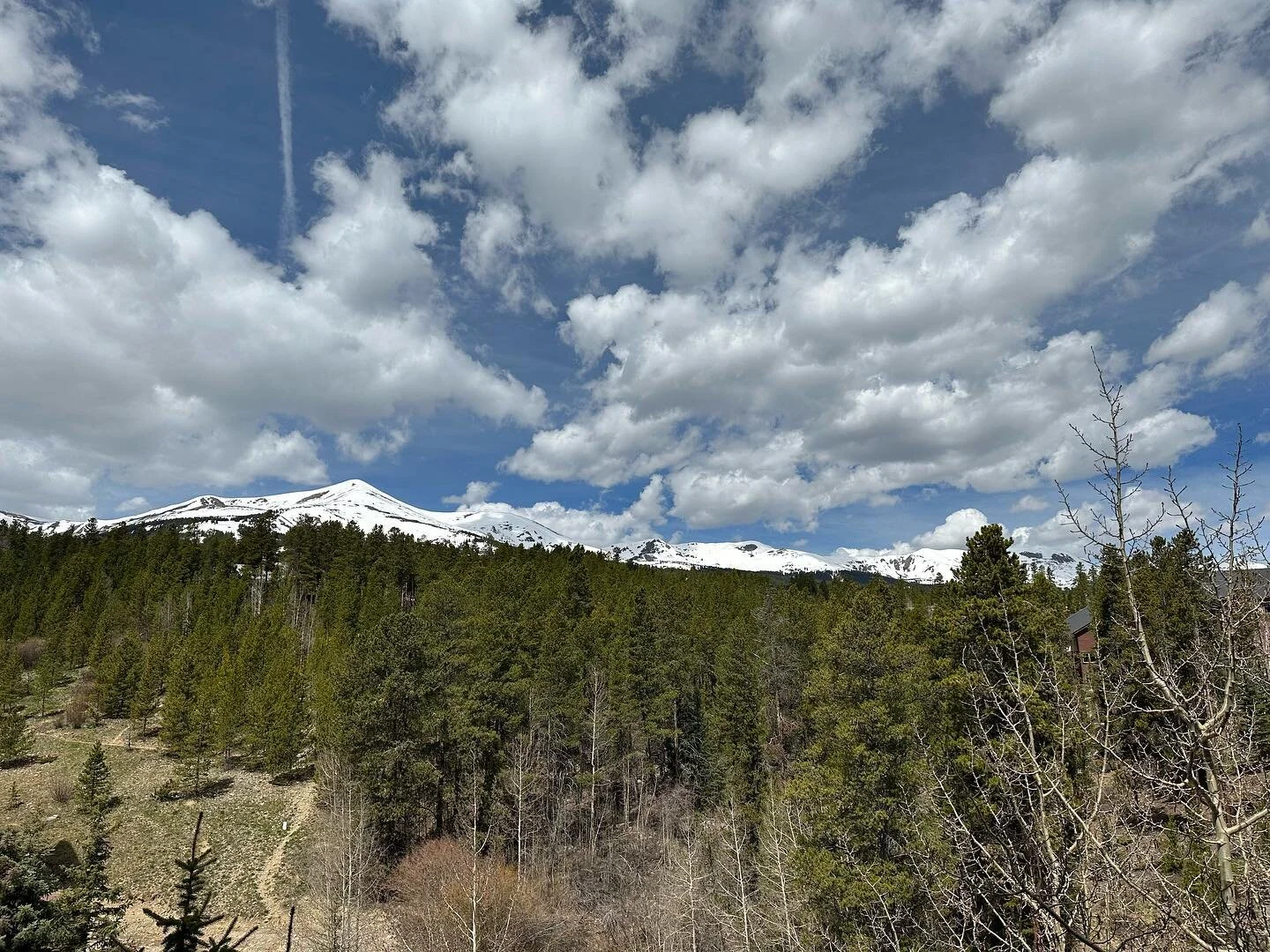 Vinson Valega: Media Producer, Jazz Musician and Activist — Vinson Valega