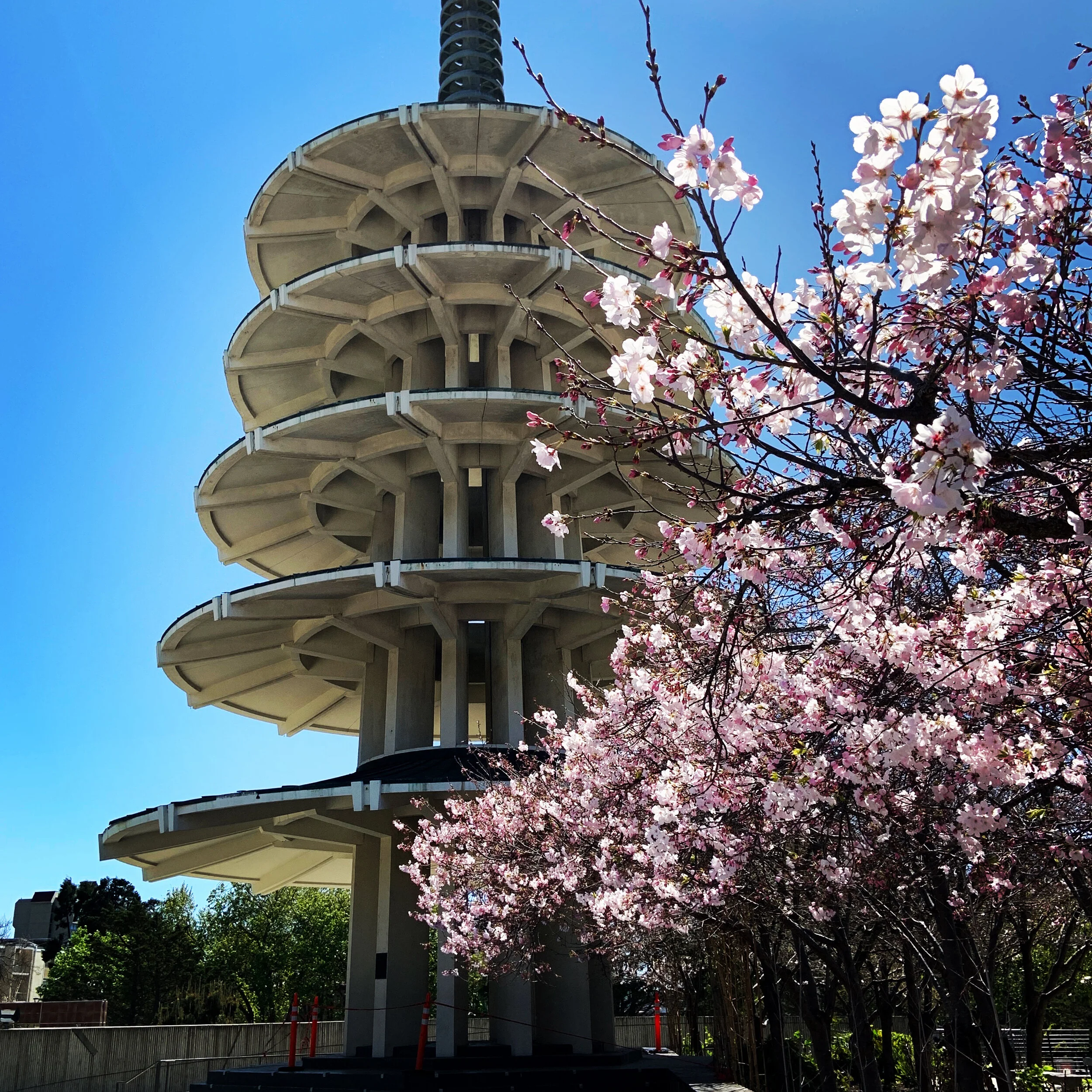 Japantown Community Benefit District, Inc.