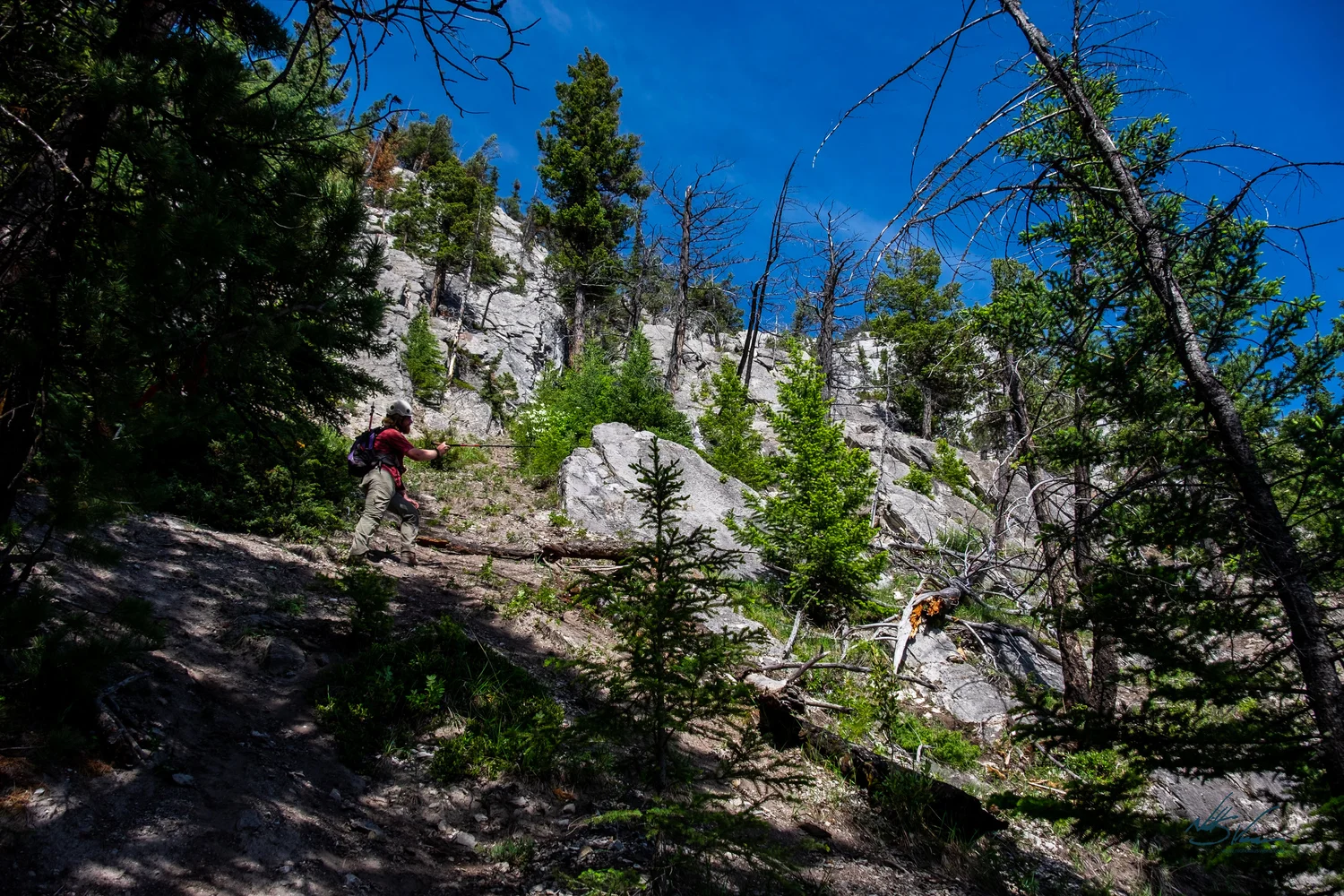 Hole in the Wall Cave, Mt. Cory - Banff, Canada (2018) — Nicholaus Vieira
