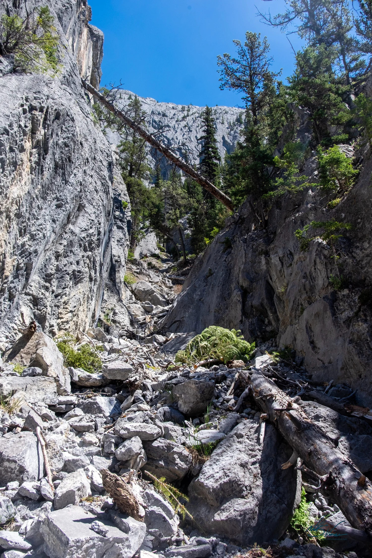 Hole in the Wall Cave, Mt. Cory - Banff, Canada (2018) — Nicholaus Vieira