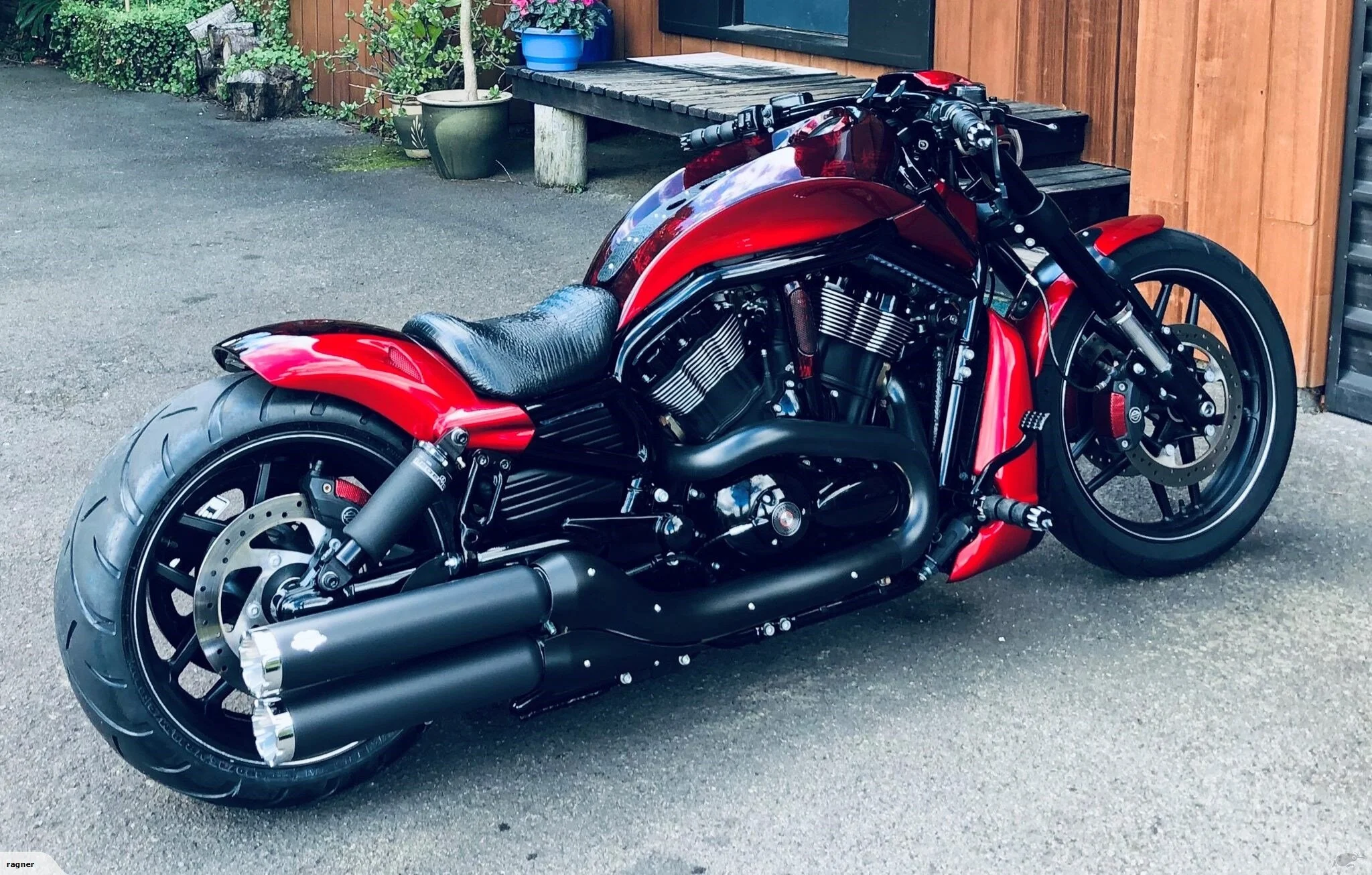 Blue Night Rod Custom