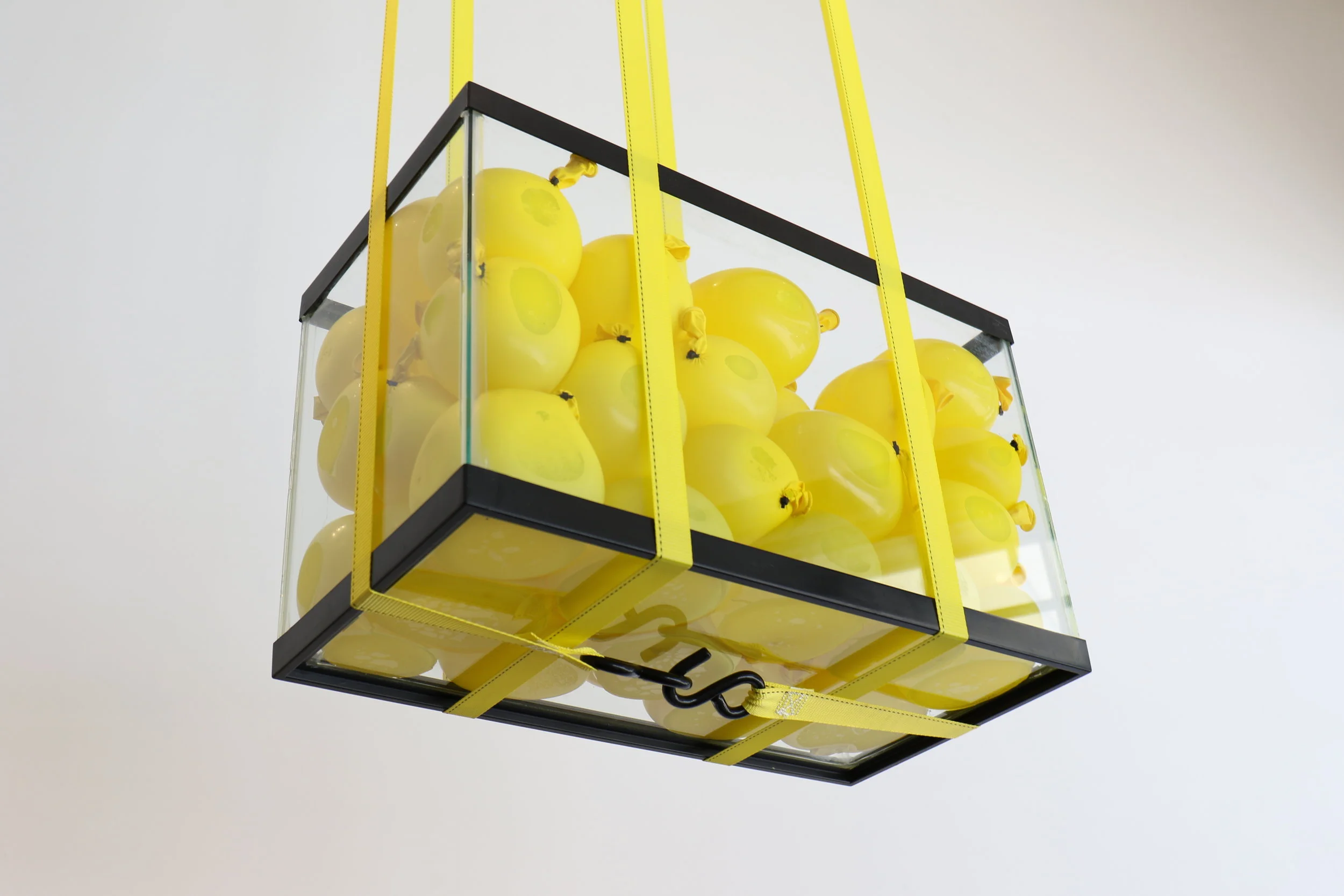 An Honest Mimic — SHAUNA JEAN DOHERTY