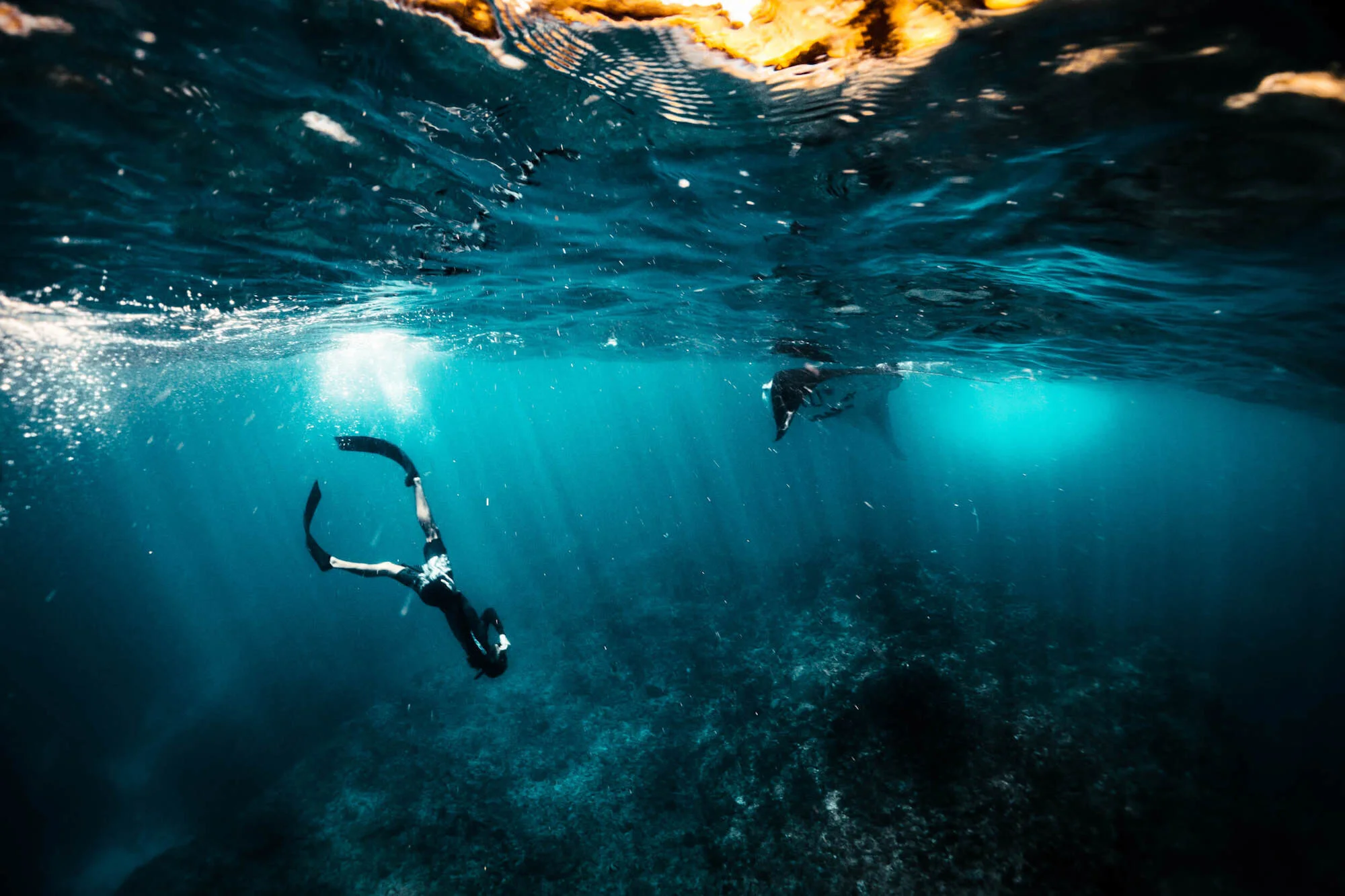 Freediving Lembongan | Blue Corner Freedive