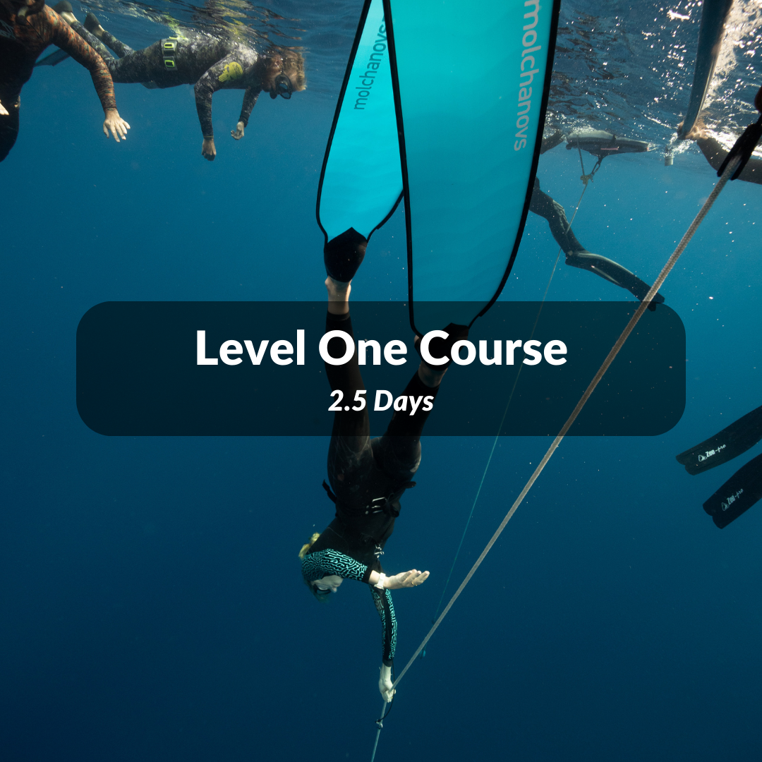 Free Dive Courses Indonesia | Freedive training Lembongan