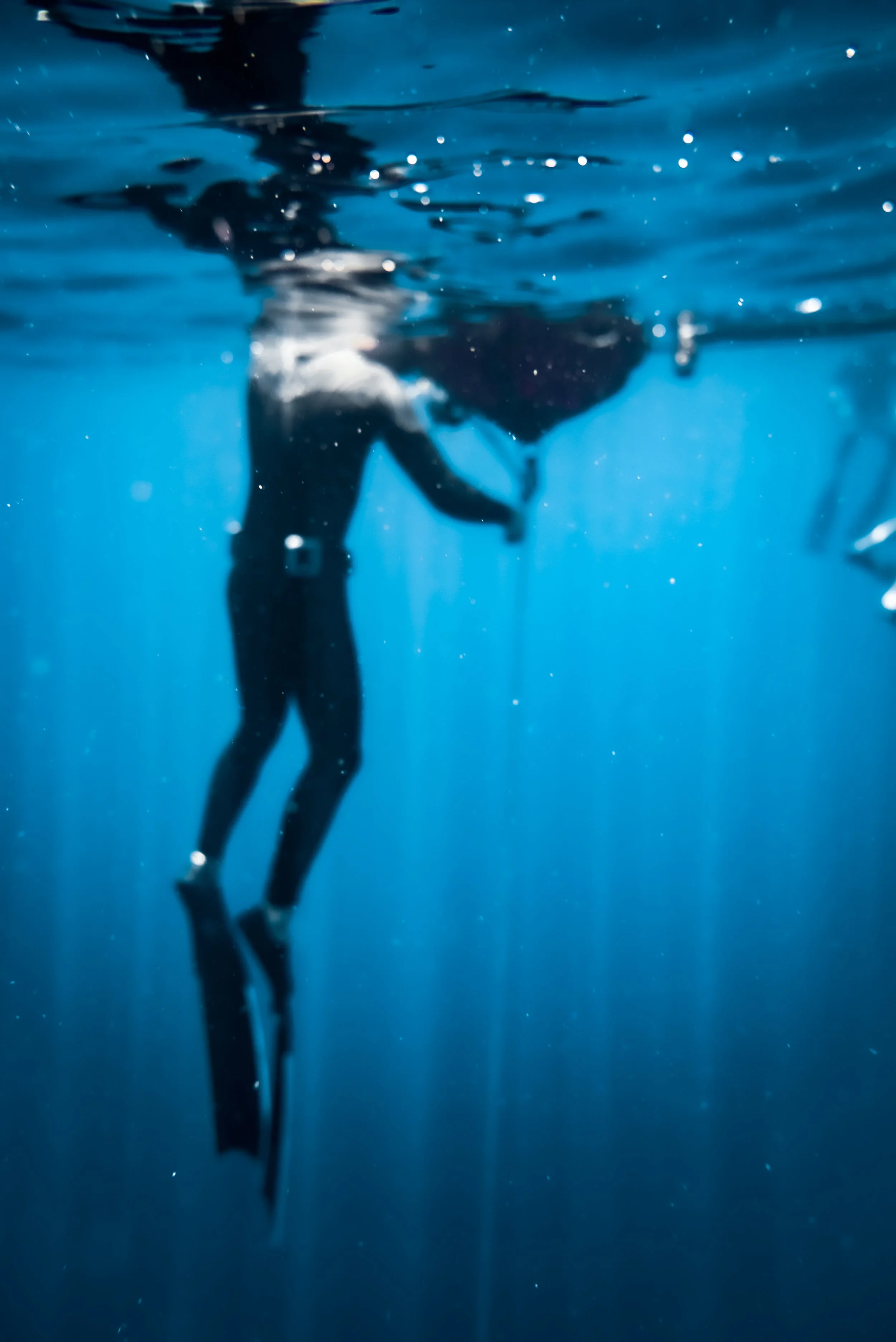 Exploring the Depths: Guide to Freediving Training