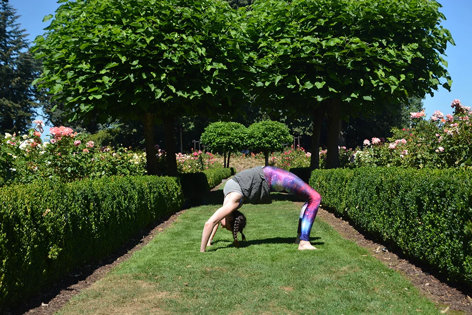 Yoga — Synergy Bloom