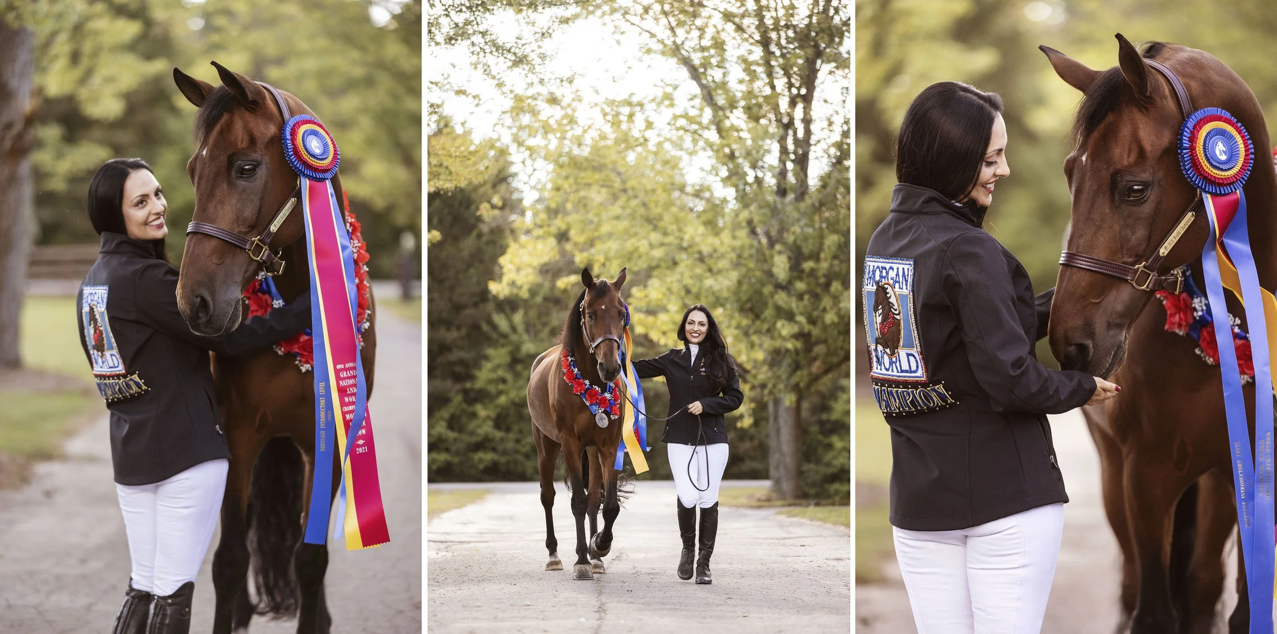 Horse & Rider Photoshoot at PAL Stables — J.Klein Photos
