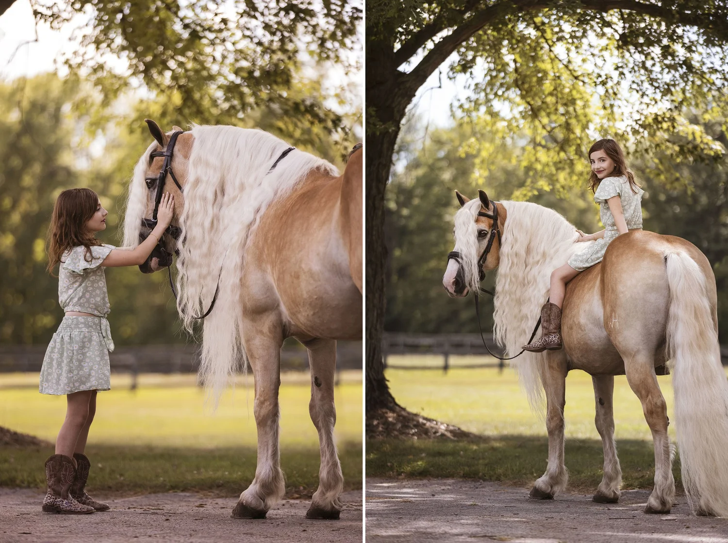 Evie & Fabio, PAL Stables Horse & Rider Photoshoot — J.Klein Photos