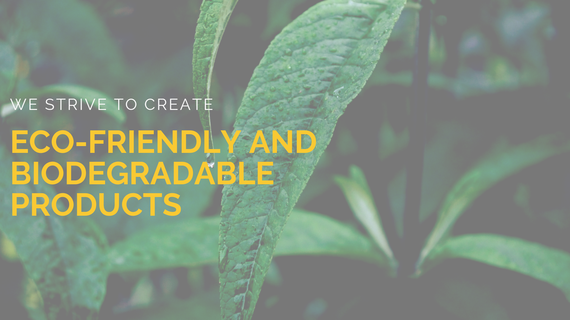 Mike's Really Cool Products