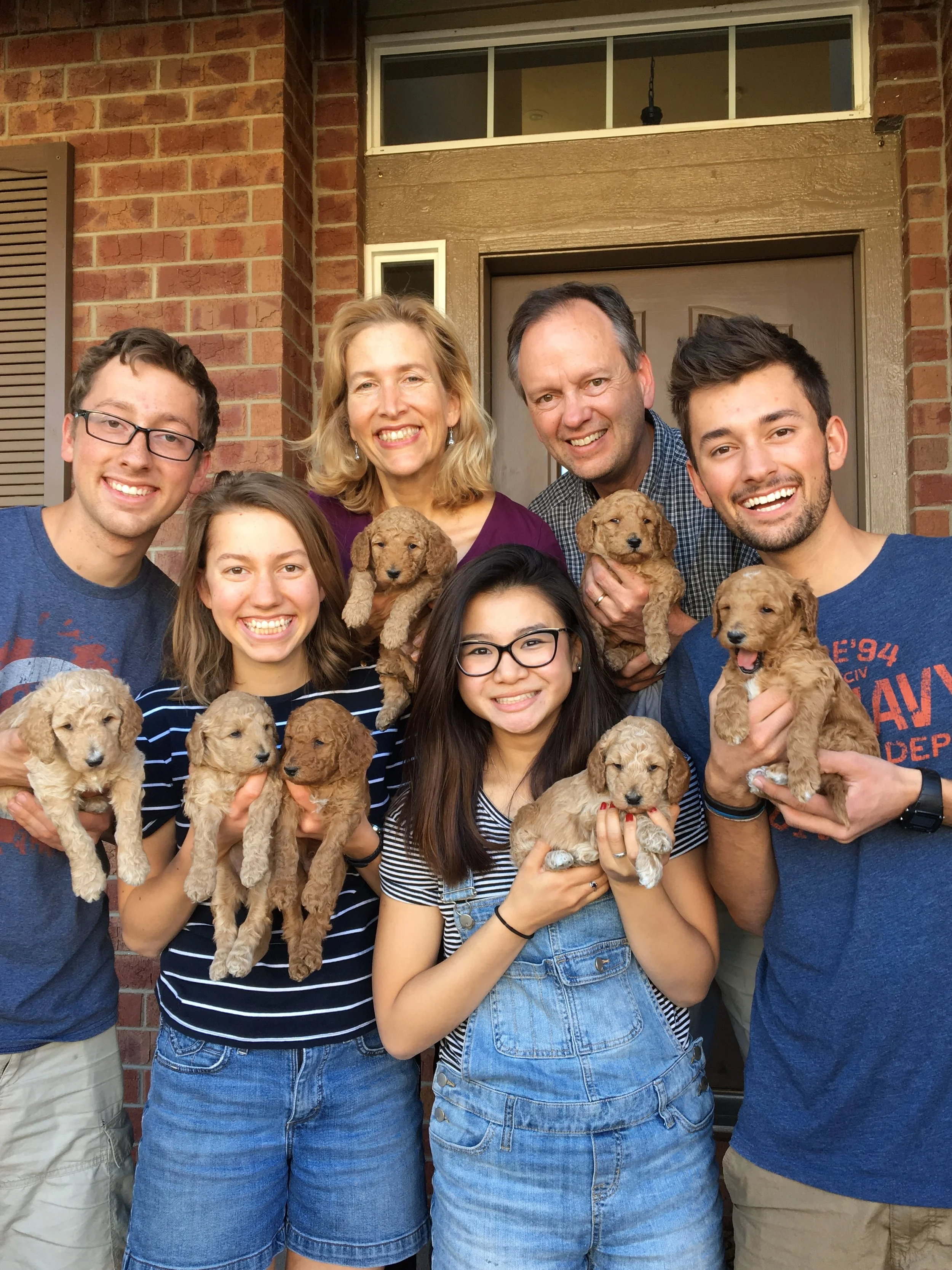 Red Rock Golden Doodles