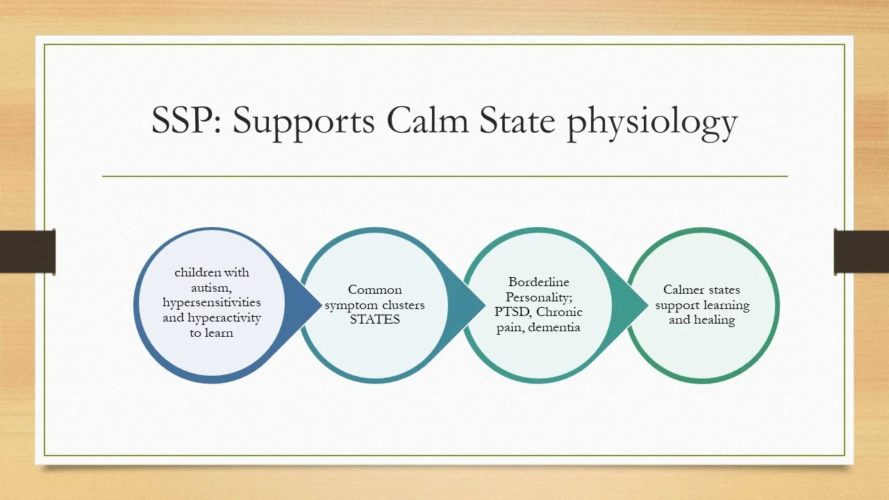 Safe and Sound — Lifeworks of Maine/ Safe and Sound Protocol
