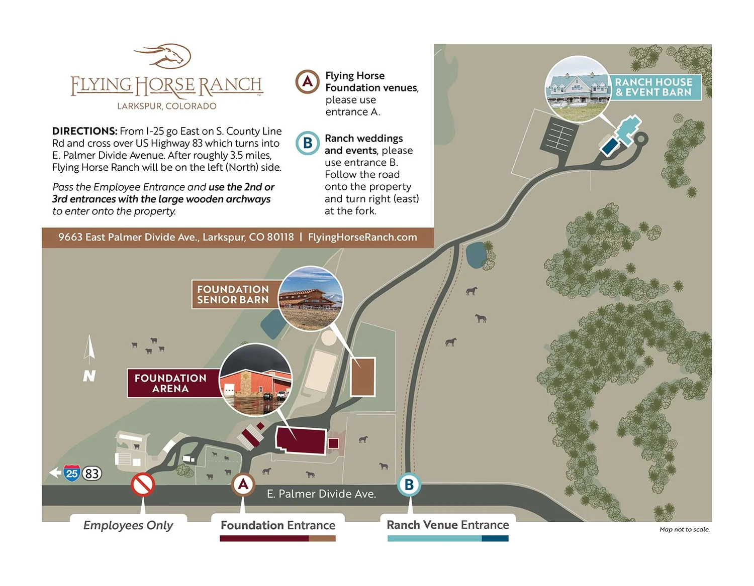 Contact Us — Flying Horse Foundation