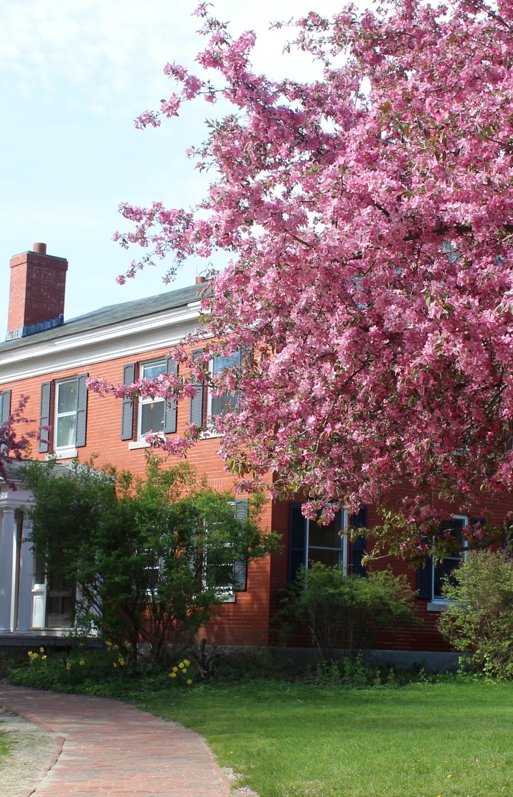 The Well School