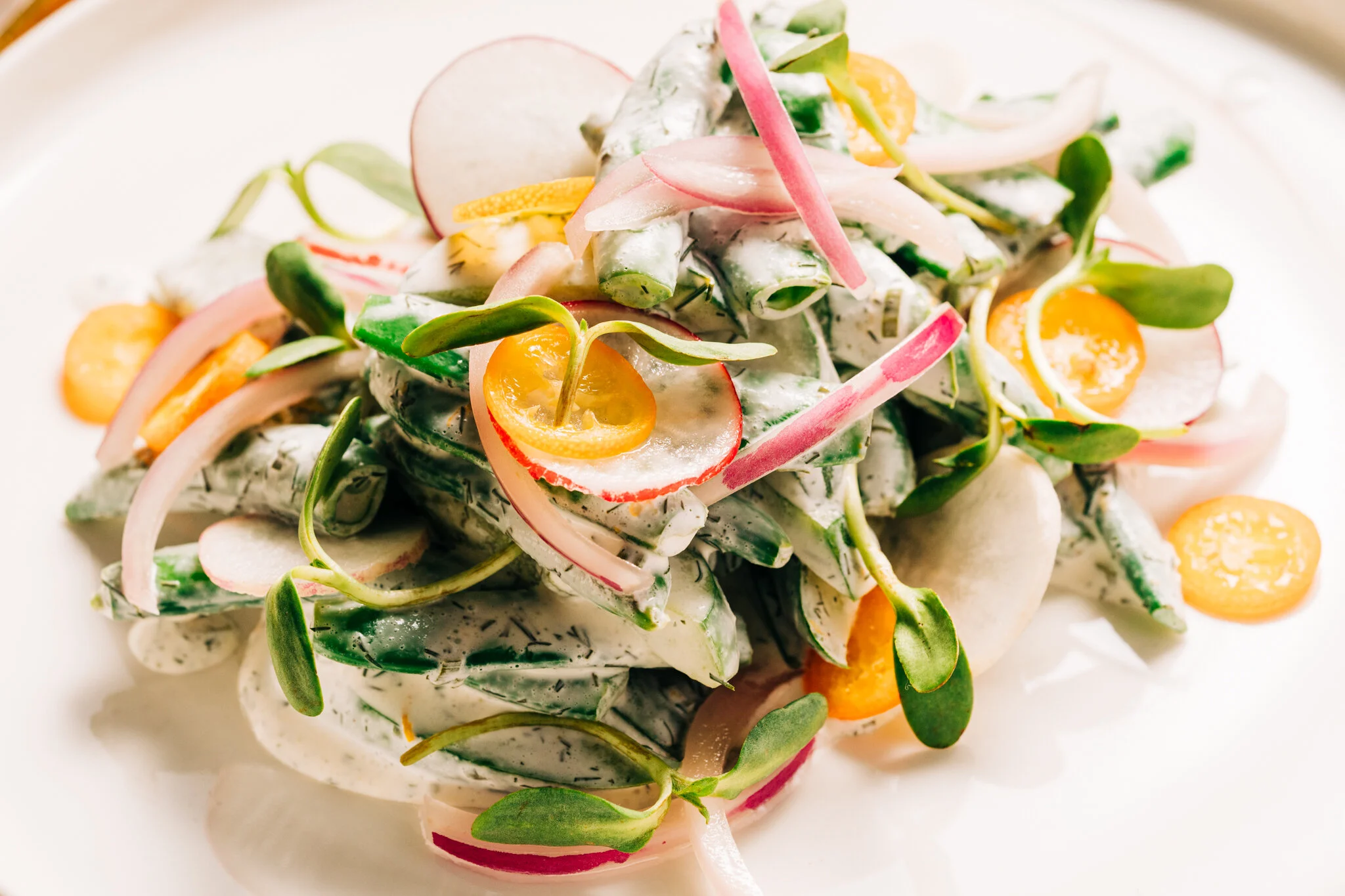 MENUS — Bardo Lounge & Supper Club