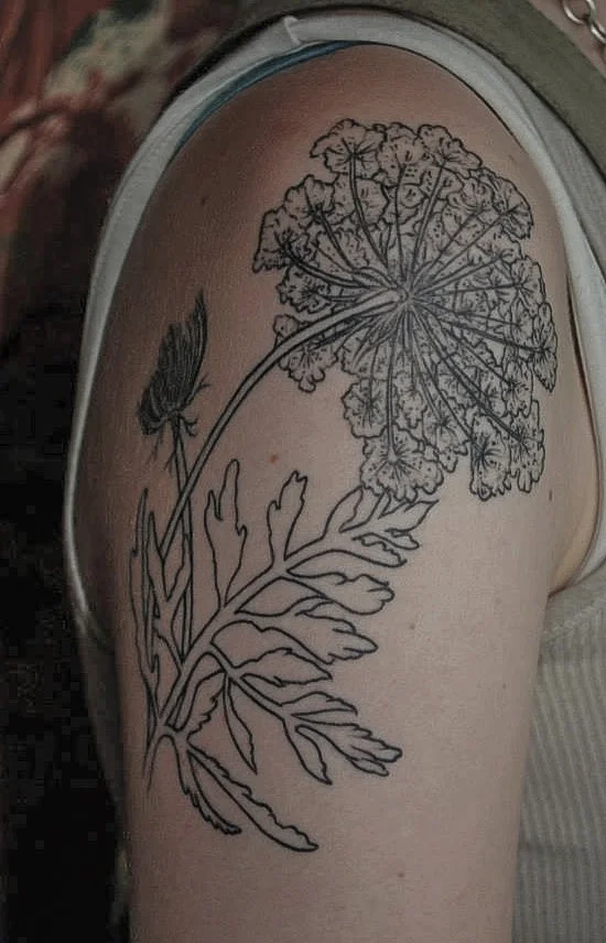 Queen Annes Lace Tattoo Meaning