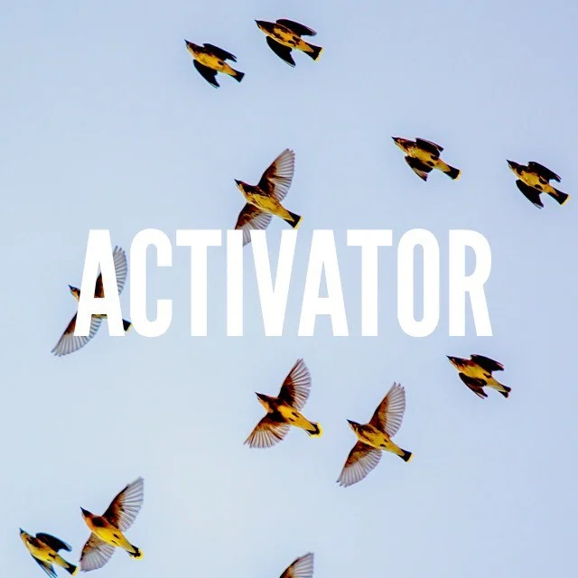 ACTIVATOR: HOW ACTIVATORS SEE THE WORLD — Zach Carlsen Coaching