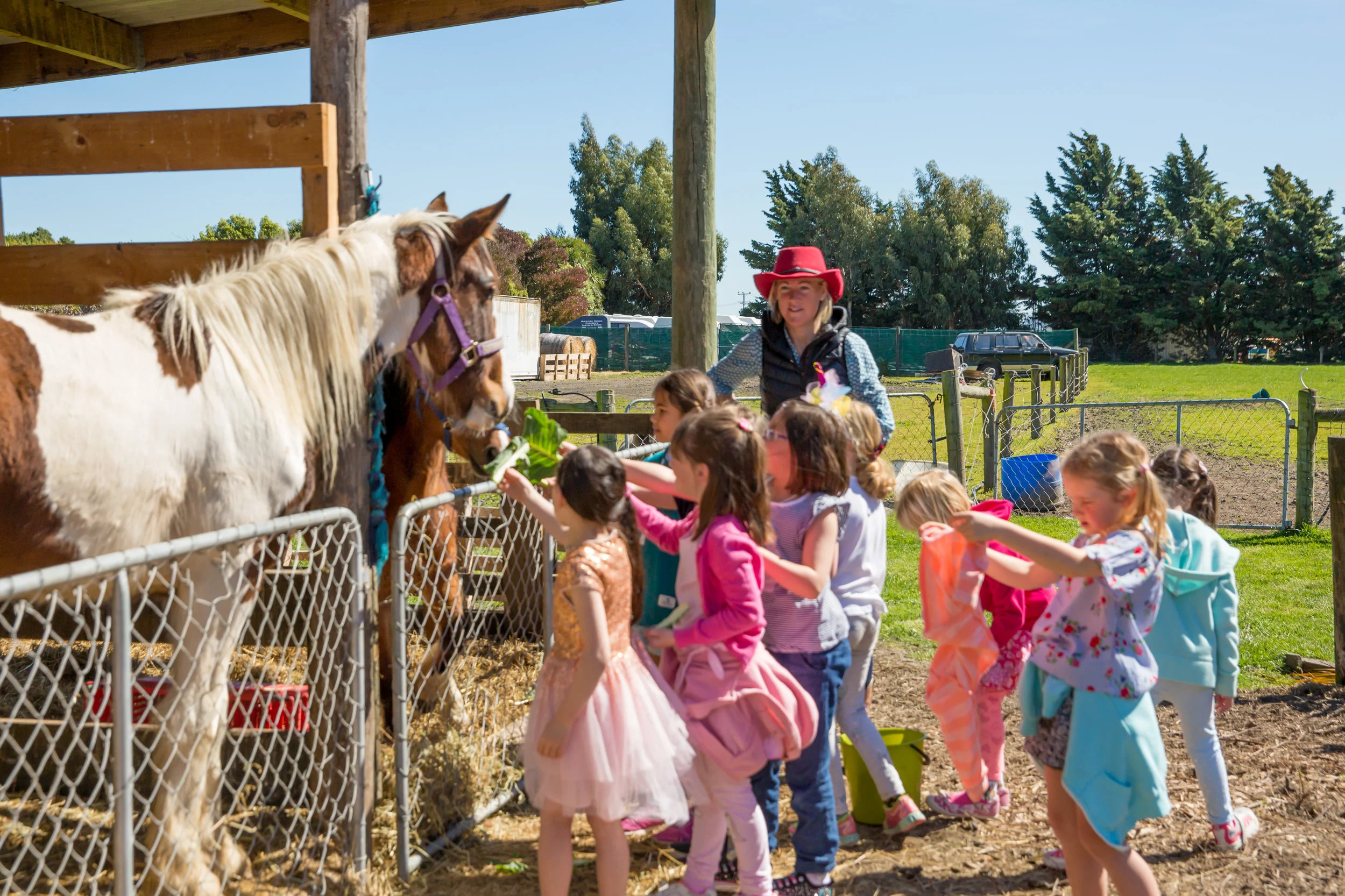 Indoor Party Venue — Pony Parties and Farmyard Friends