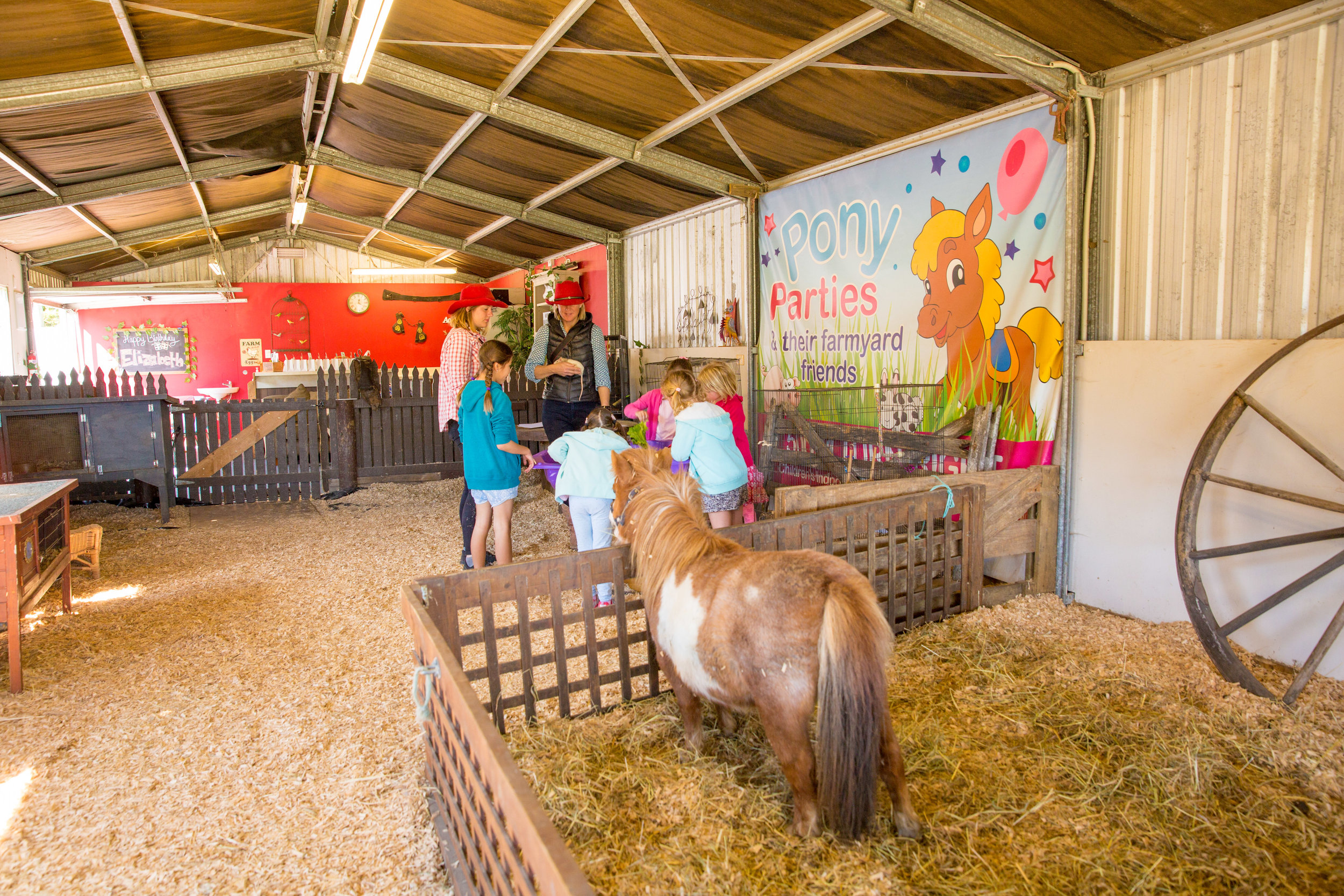 Indoor Party Venue — Pony Parties and their Farmyard Friends