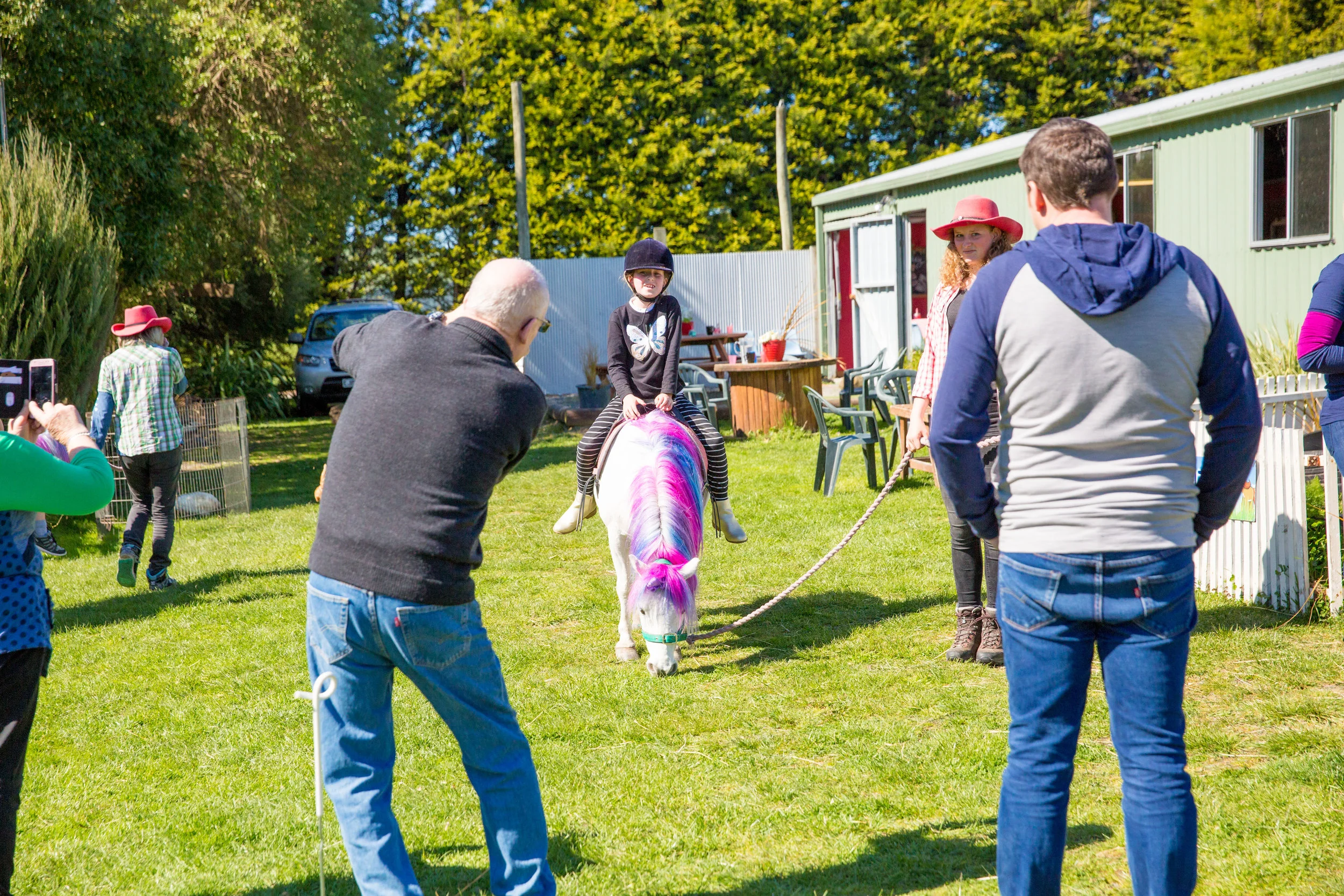 Indoor Party Venue — Pony Parties and Farmyard Friends