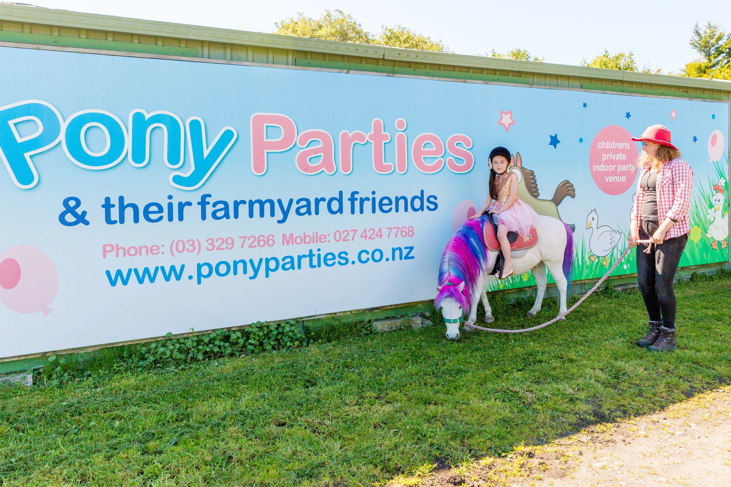 Indoor Party Venue — Pony Parties and Farmyard Friends