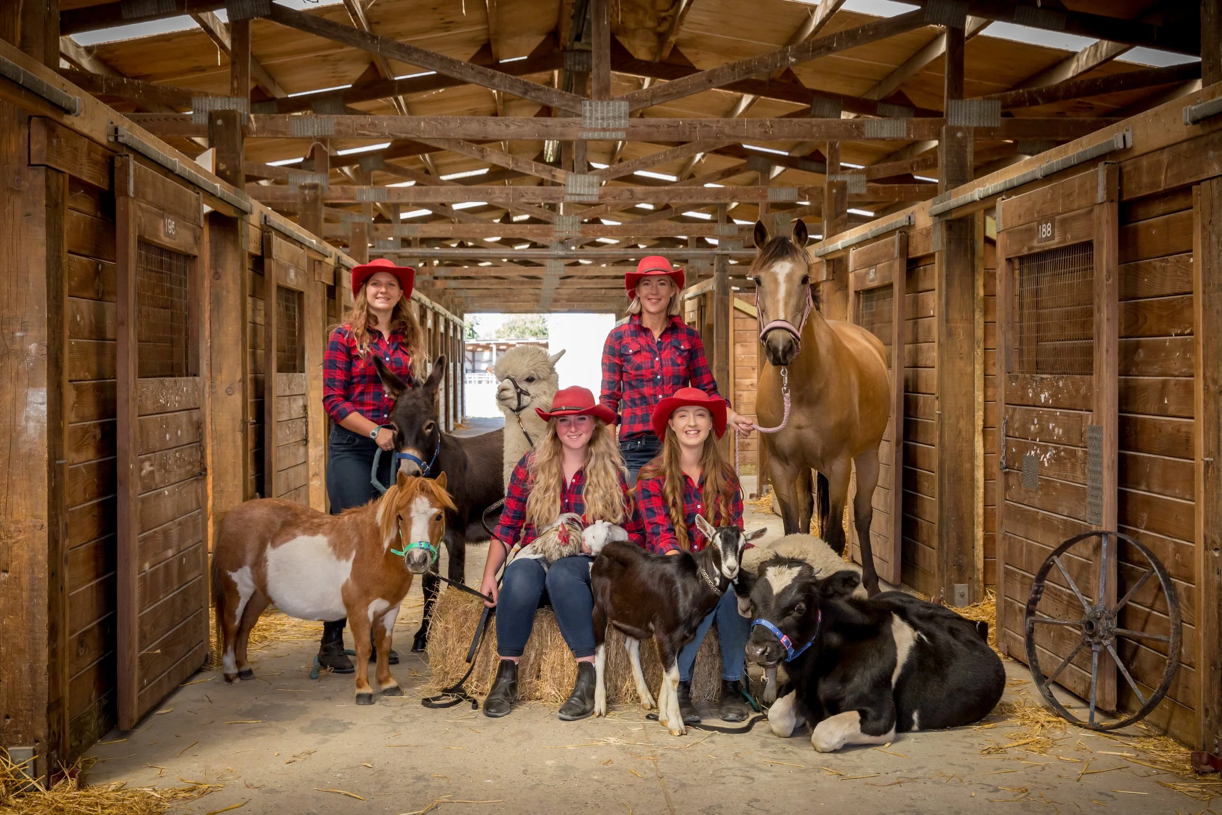 About — Pony Parties and Farmyard Friends