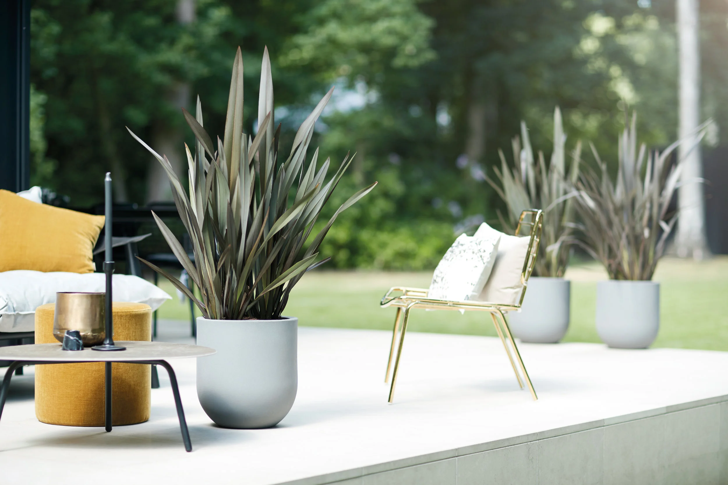 MON exteriors — First Dutch Brands