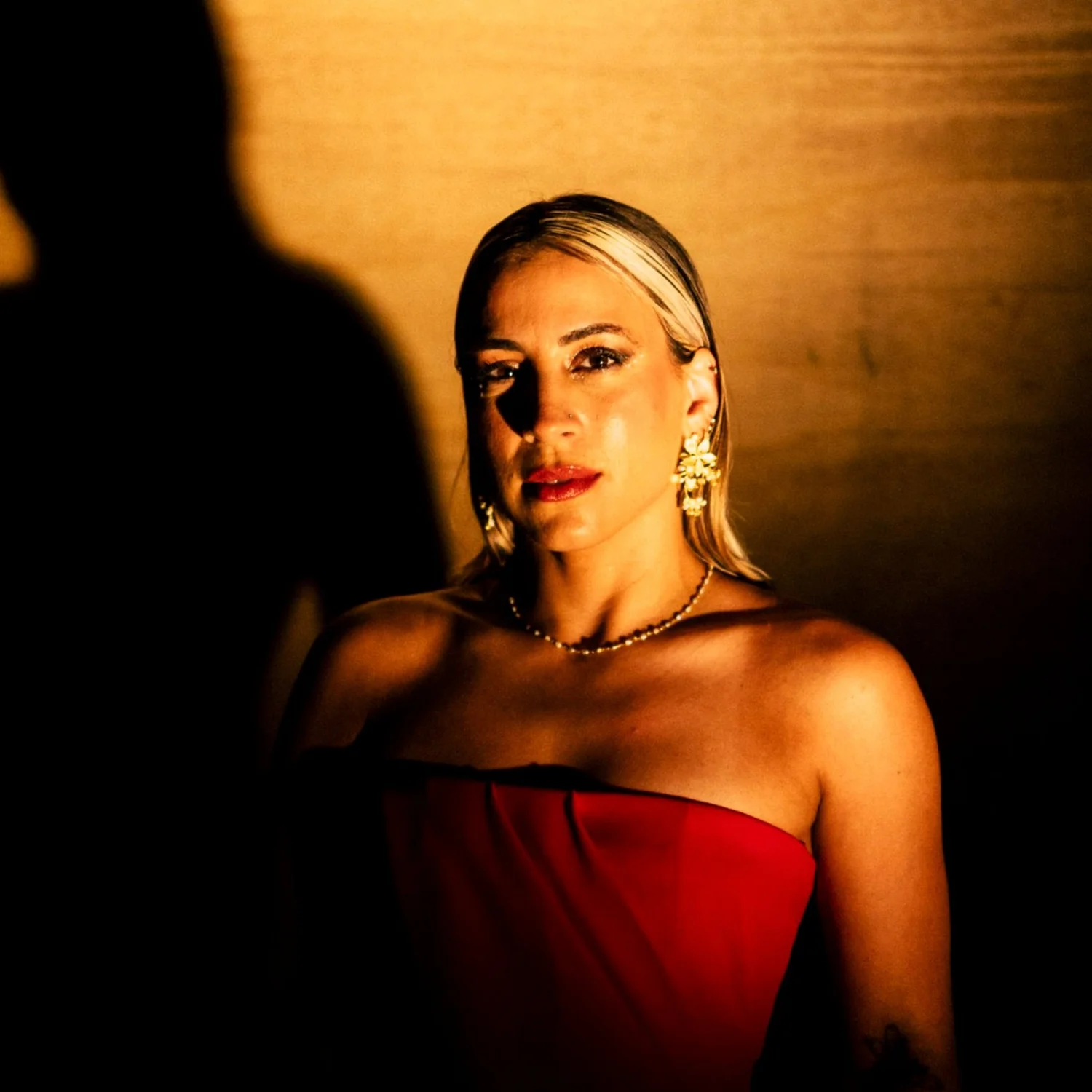 2024 Nominees — International Portuguese Music Awards