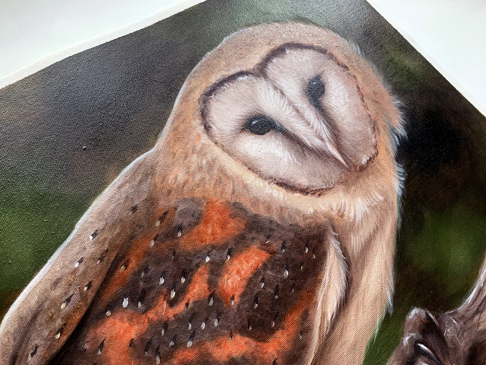 Oil Pastel Drawings Of Owl