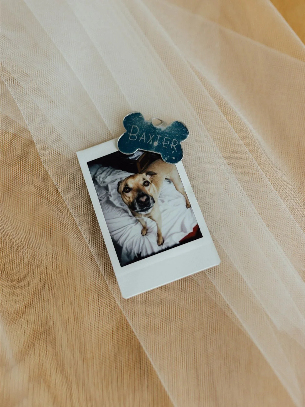 Hazel & Luke — Bride & Groom Magazine