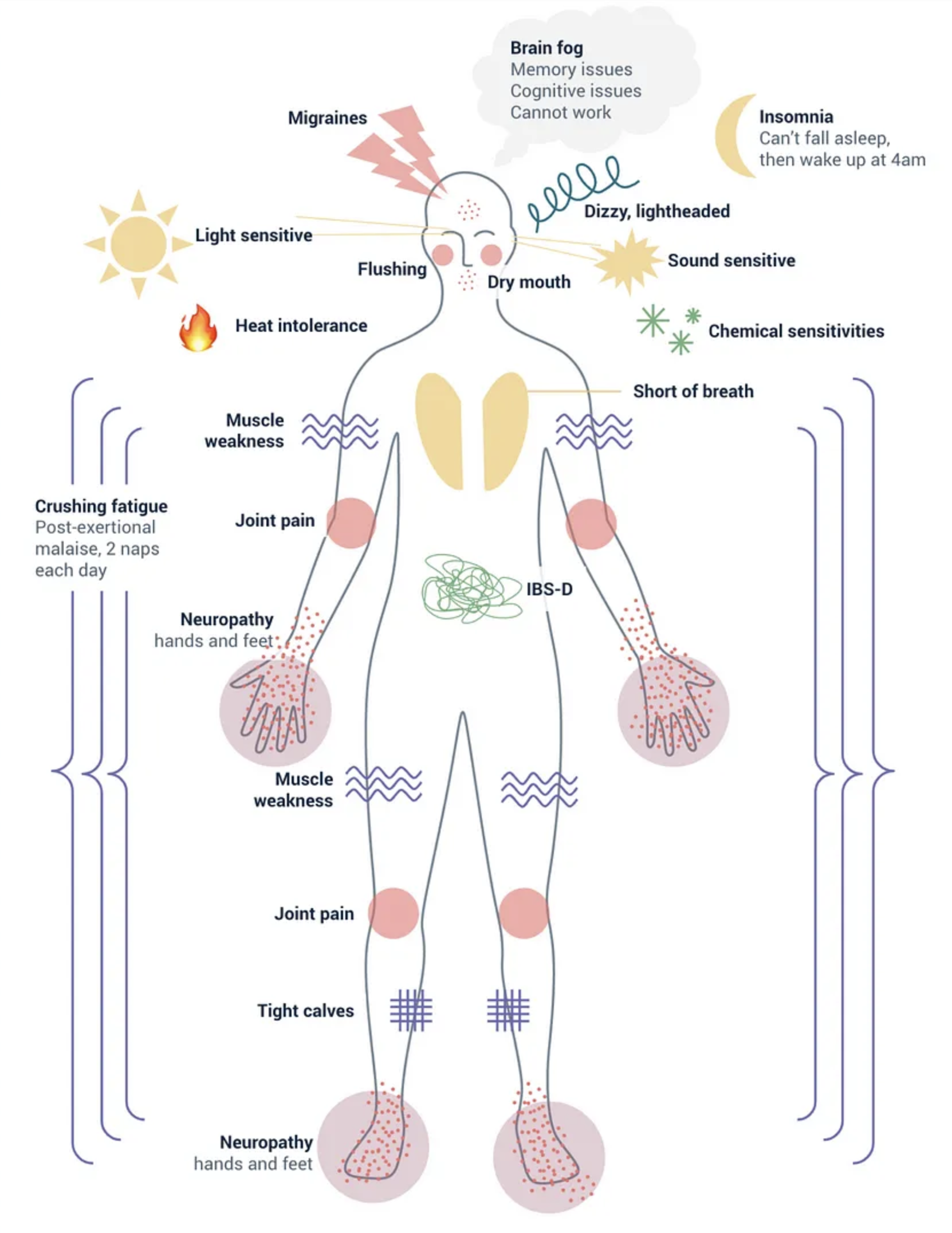 Bring invisible symptoms to life with a symptom map — Pictal Health