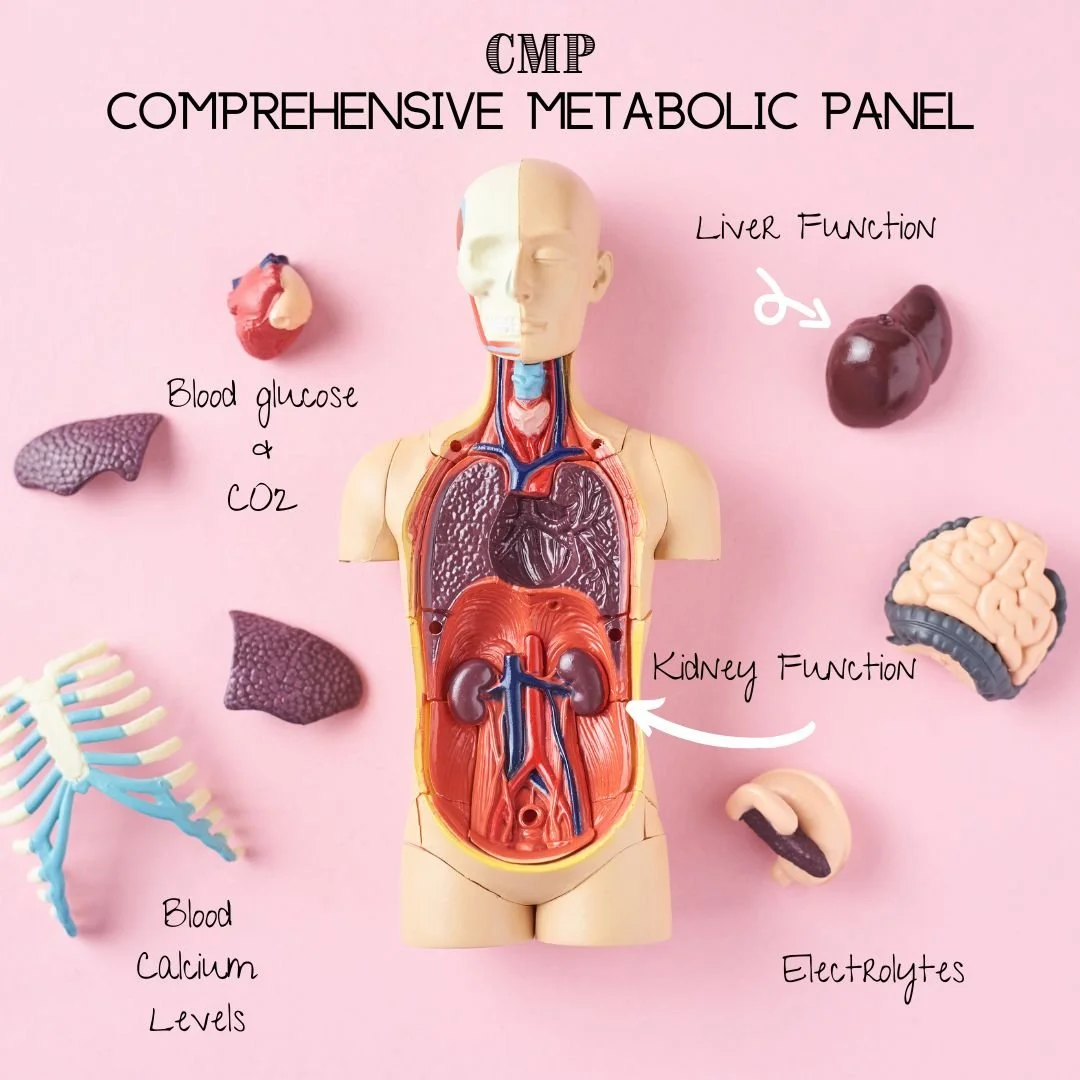 Your guide to basic blood work — Rooted in Health