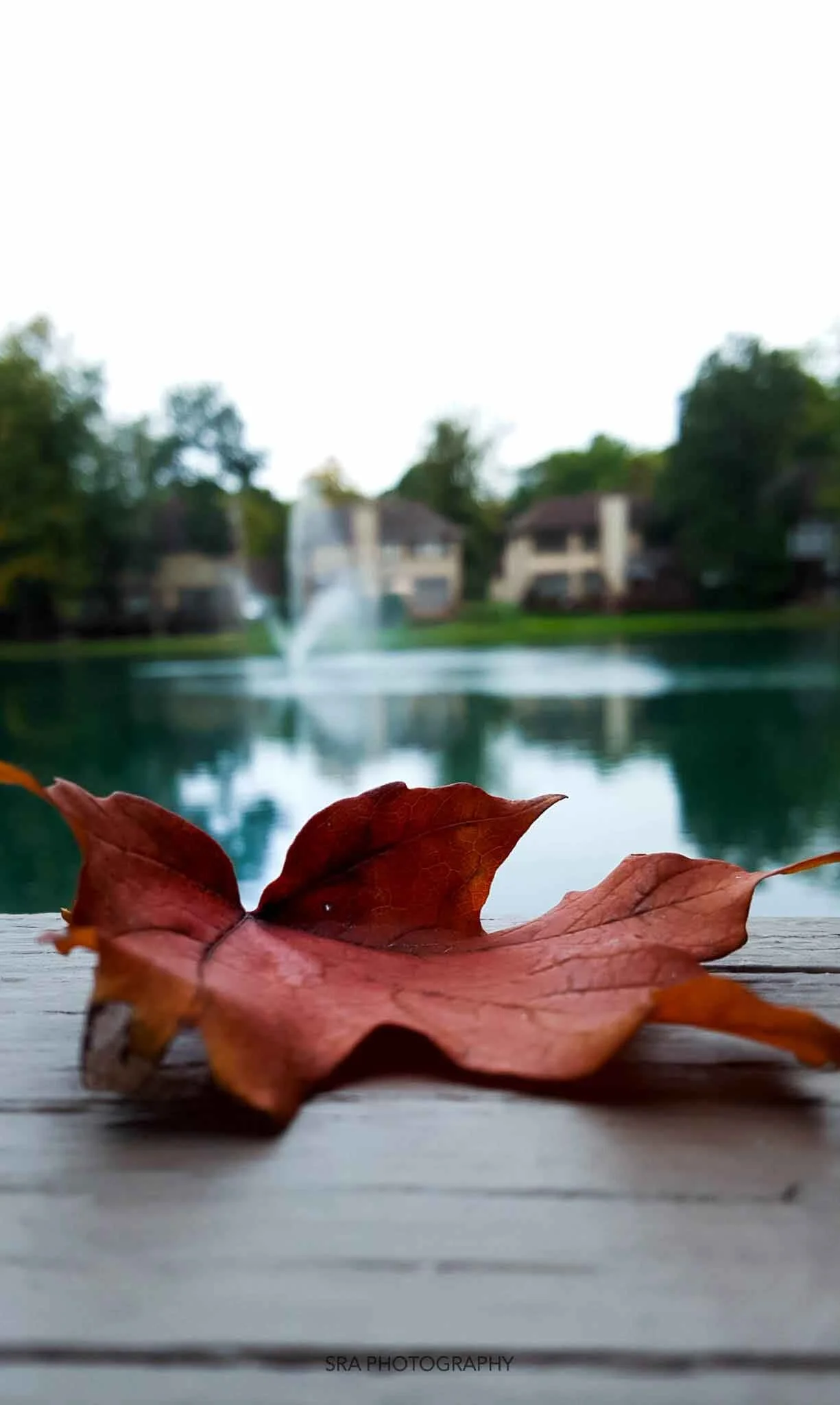 How to Unlock your Own Inspiration | Art Inspiration Blog — SRA