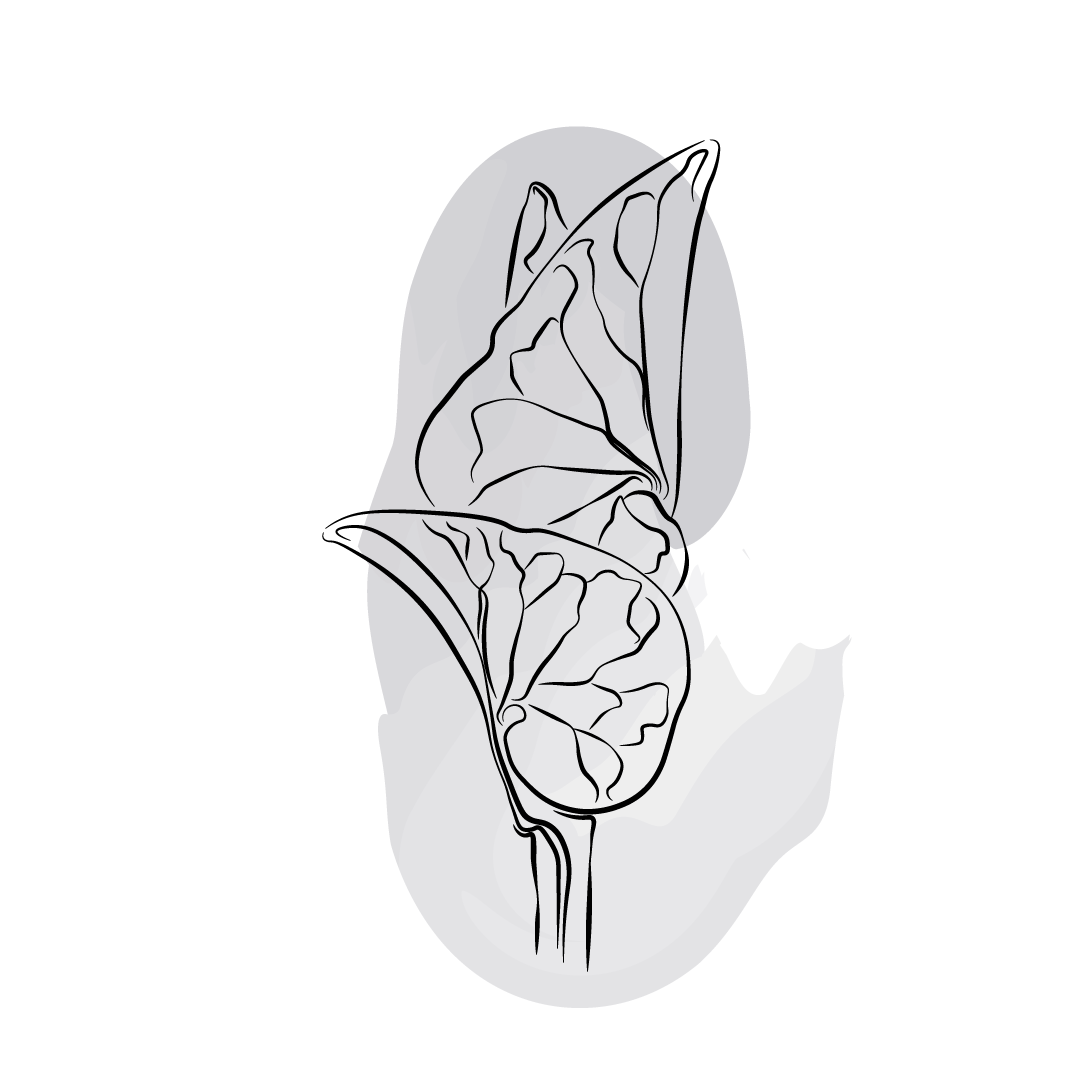 SRA Saabira Razac Art