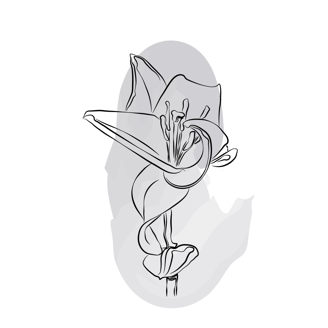 SRA Saabira Razac Art