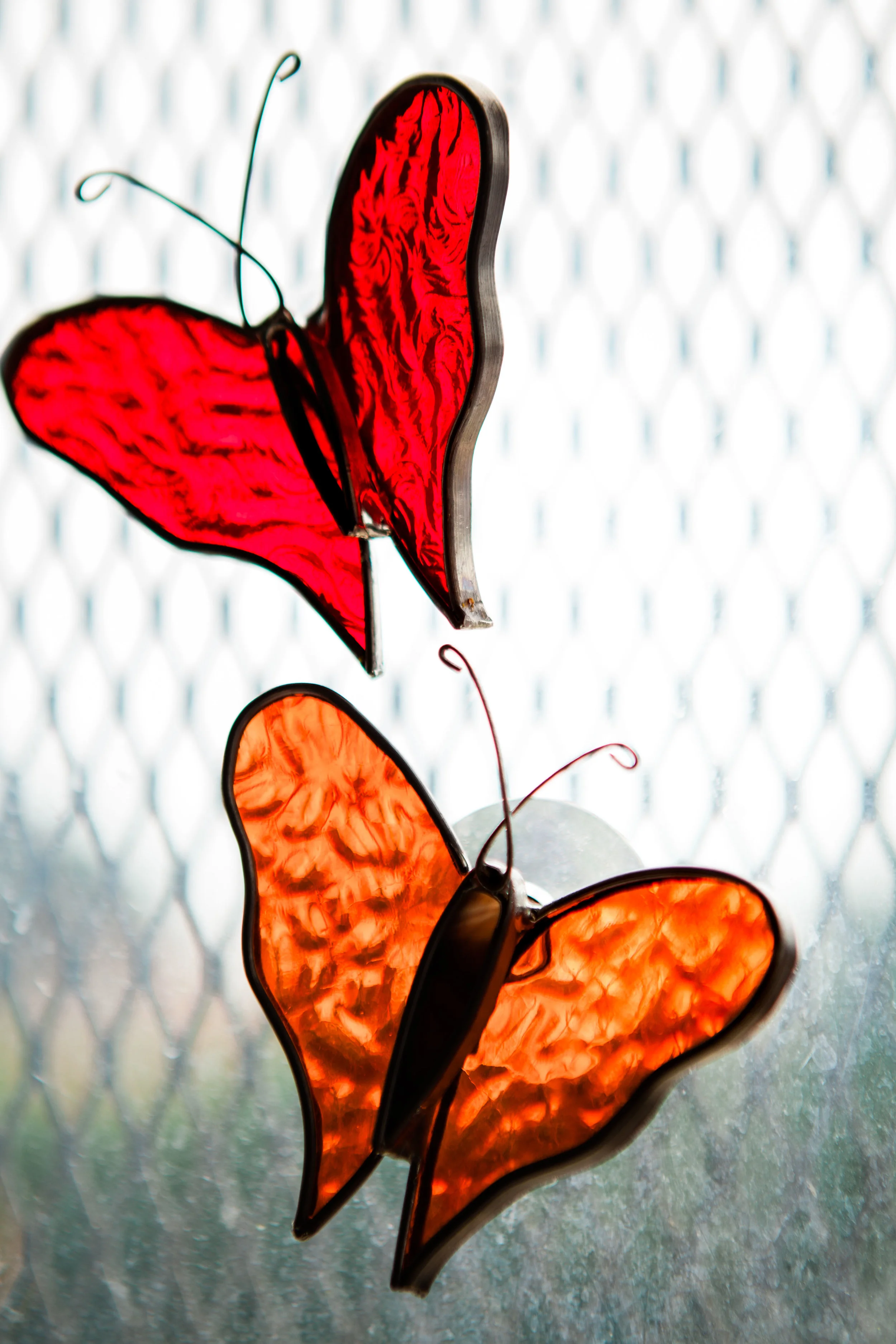 Shop — Susan Watson