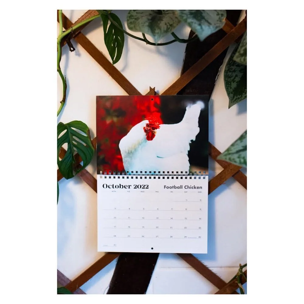 Home | Sarah Halliday | Squarespace Web Designer | Oxfordshire