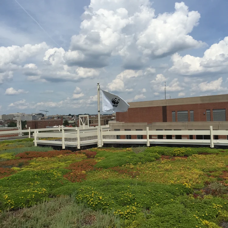 Smart Surfaces Coalition